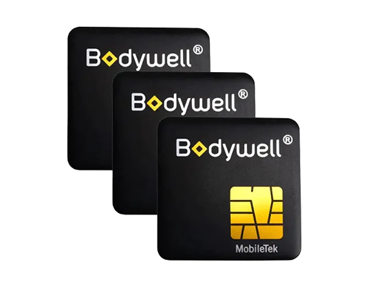 Bodywell 3 Pack Chip | Bodywell