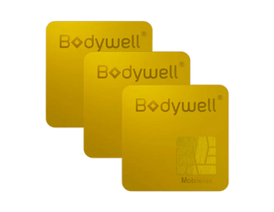 Bodywell 3 Pack Chip | Bodywell